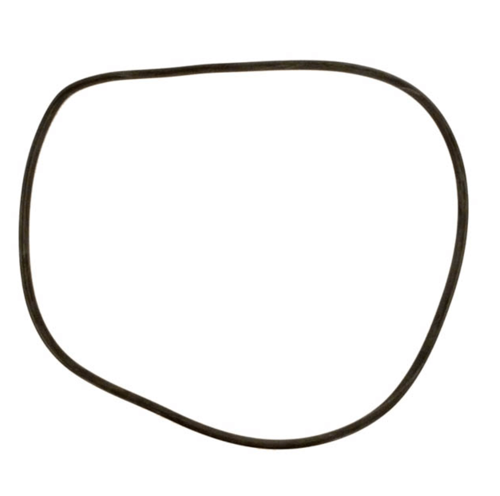 Jandy CV Series Filter Tank O-Ring, R0357800 — Vita Pool Supply