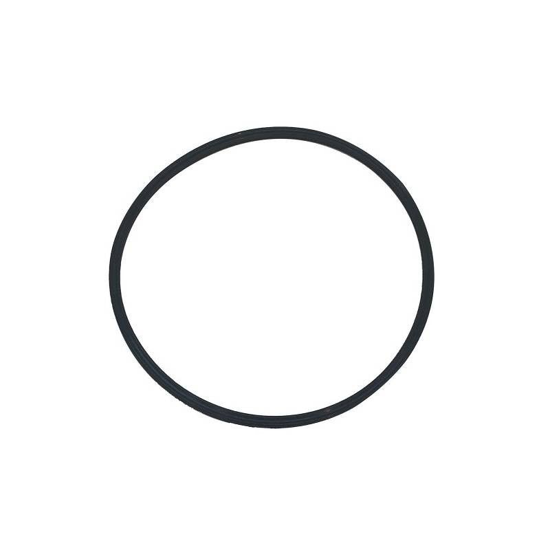 Pentair 152516Z 362 Triton II Buttress Thread Closure O-Ring — Vita ...