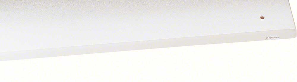 S.R. Smith Frontier III 10 Foot Residential Diving Board, 66-209-600S2 ...